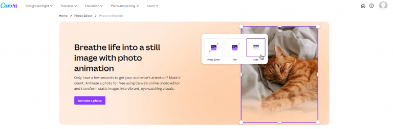 6 Aplikasi & Foto Bergerak Online Terbaik