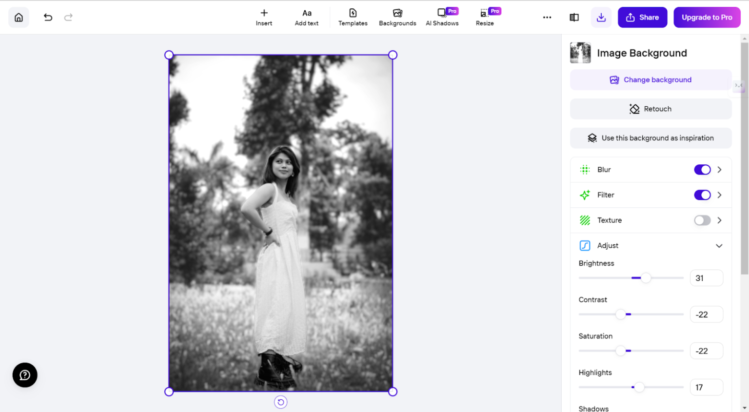 Cara edit foto hitam putih online