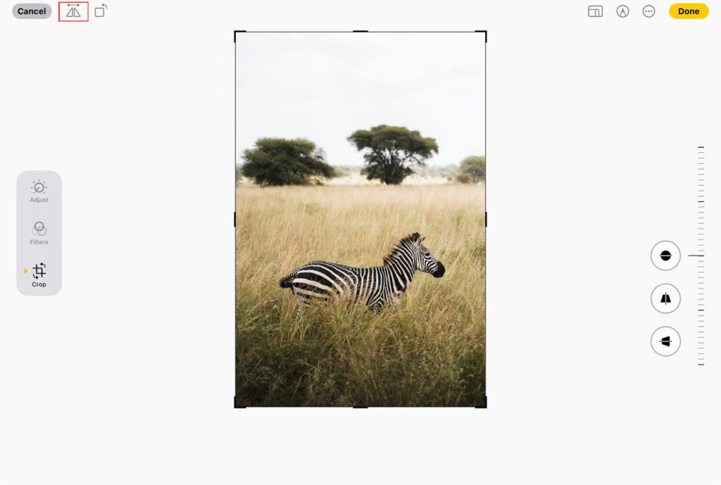 Cara mirror foto? [7 solusi yang terbukti]