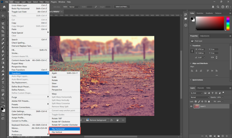 Cara mirror foto? [7 solusi yang terbukti]
