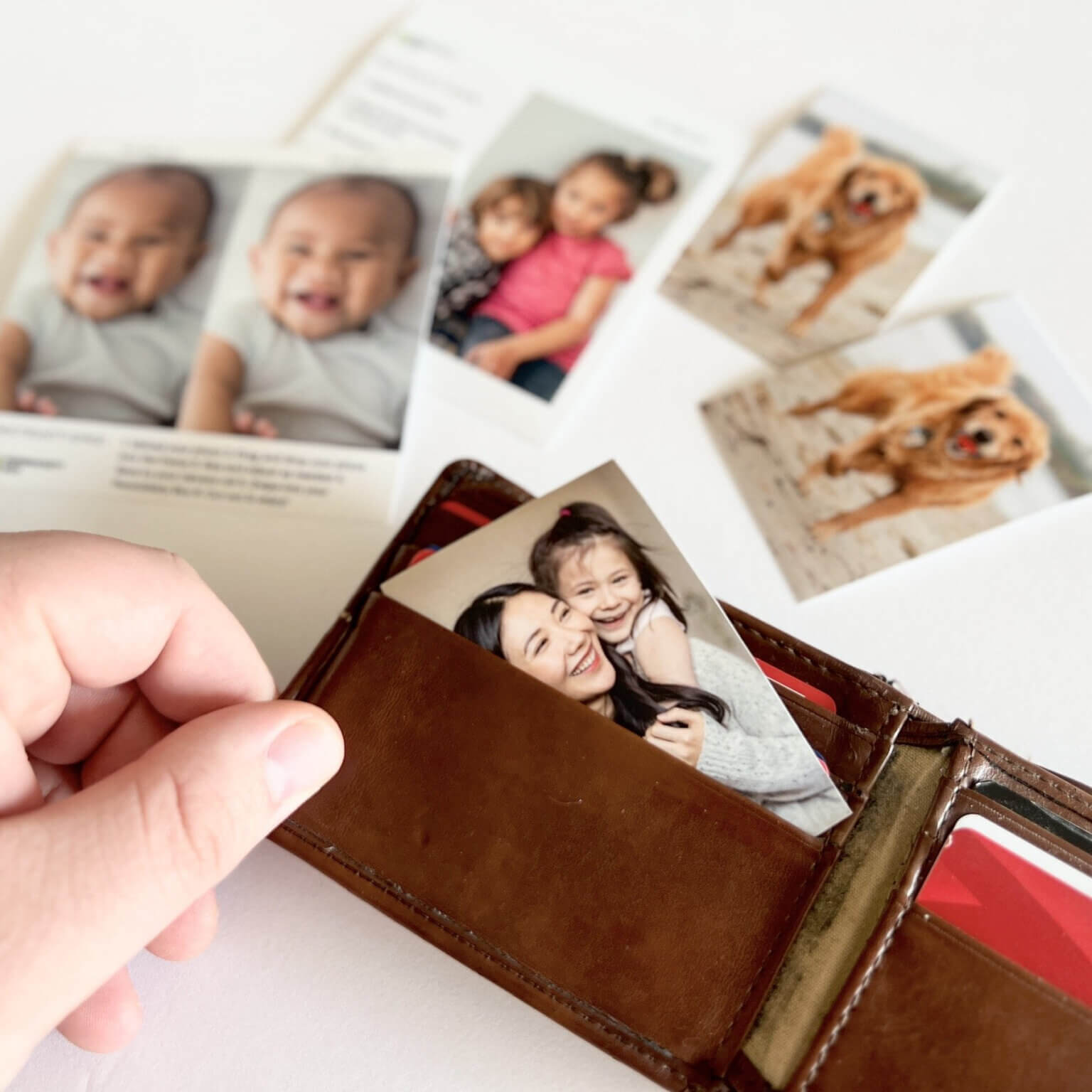 Wallet Size Pictures: Szie, Application & Printing Guide