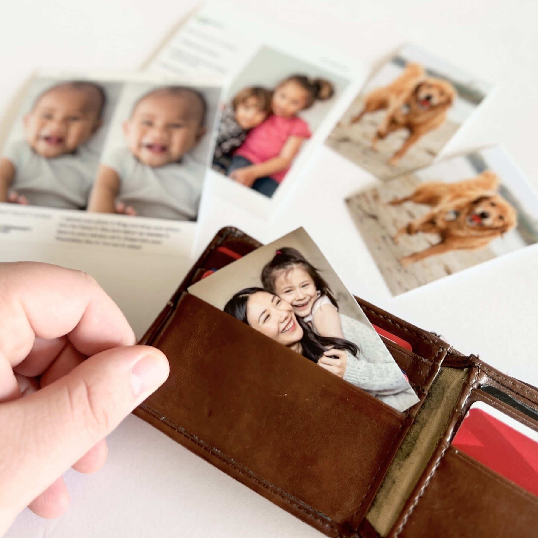 Wallet Size Pictures: Szie, Application & Printing Guide