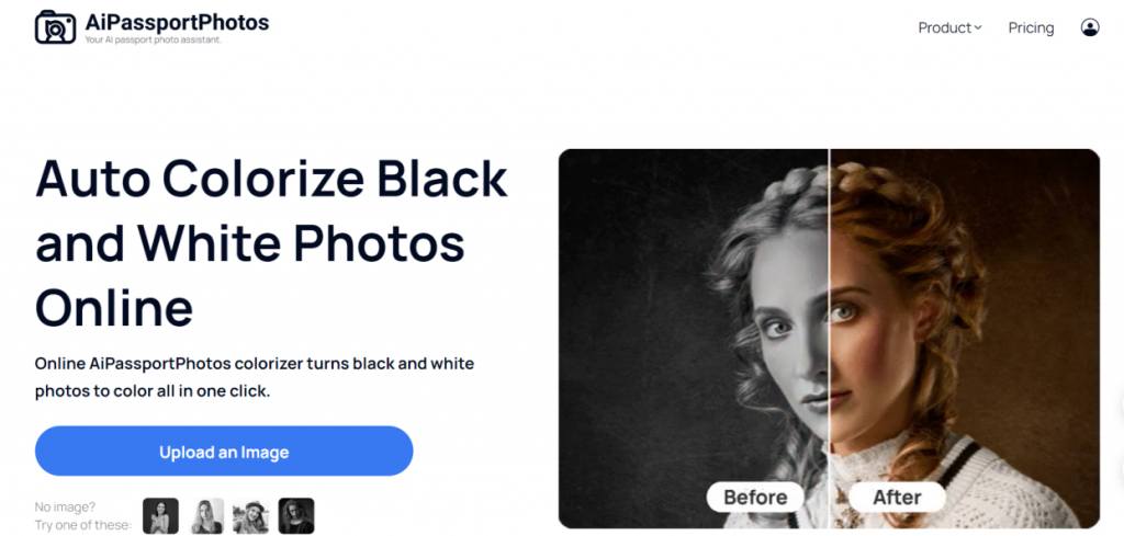 Top 6 Photo Colorizers to Colorize Black and White Photos