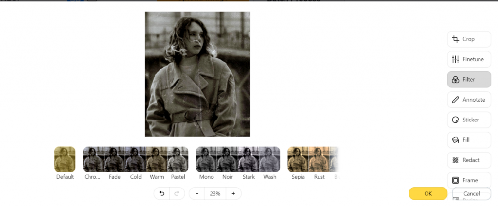 Top 6 Photo Colorizers to Colorize Black and White Photos