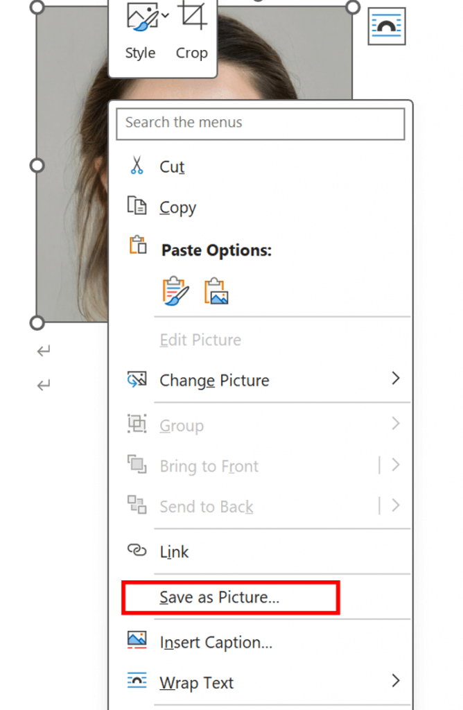 How to Make a 2x2 Picture in Word