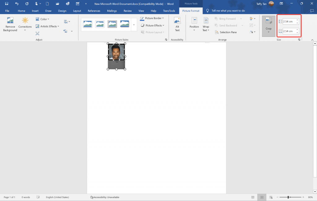 Philippine 1x1 Picture: Size, Printing & Applications