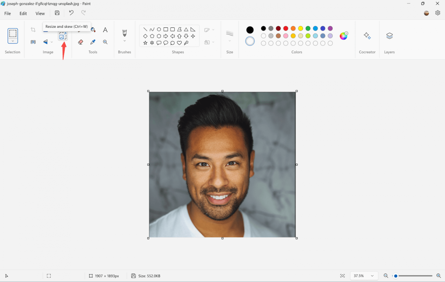 Philippine 1x1 Picture: Size, Printing & Applications