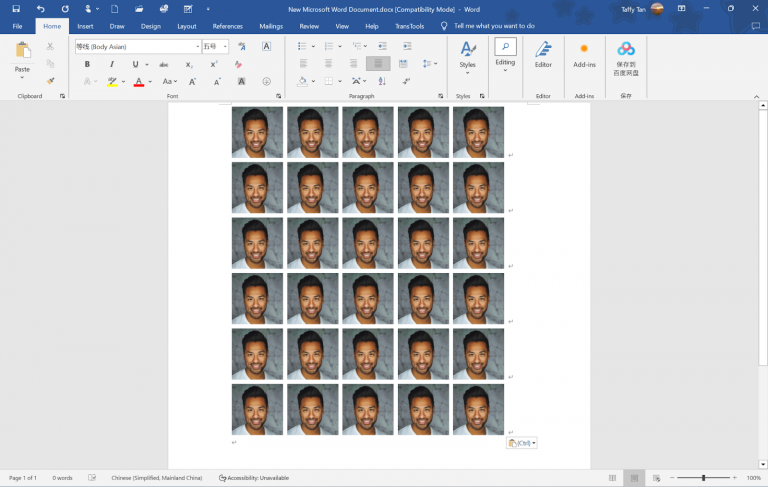 Philippine 1x1 Picture: Size, Printing & Applications