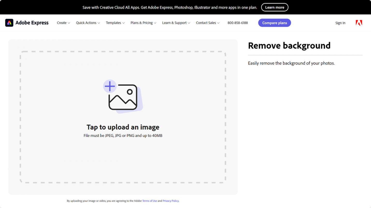 Adobe Background Remover & Top 6 Alternatives [2024 Updated]