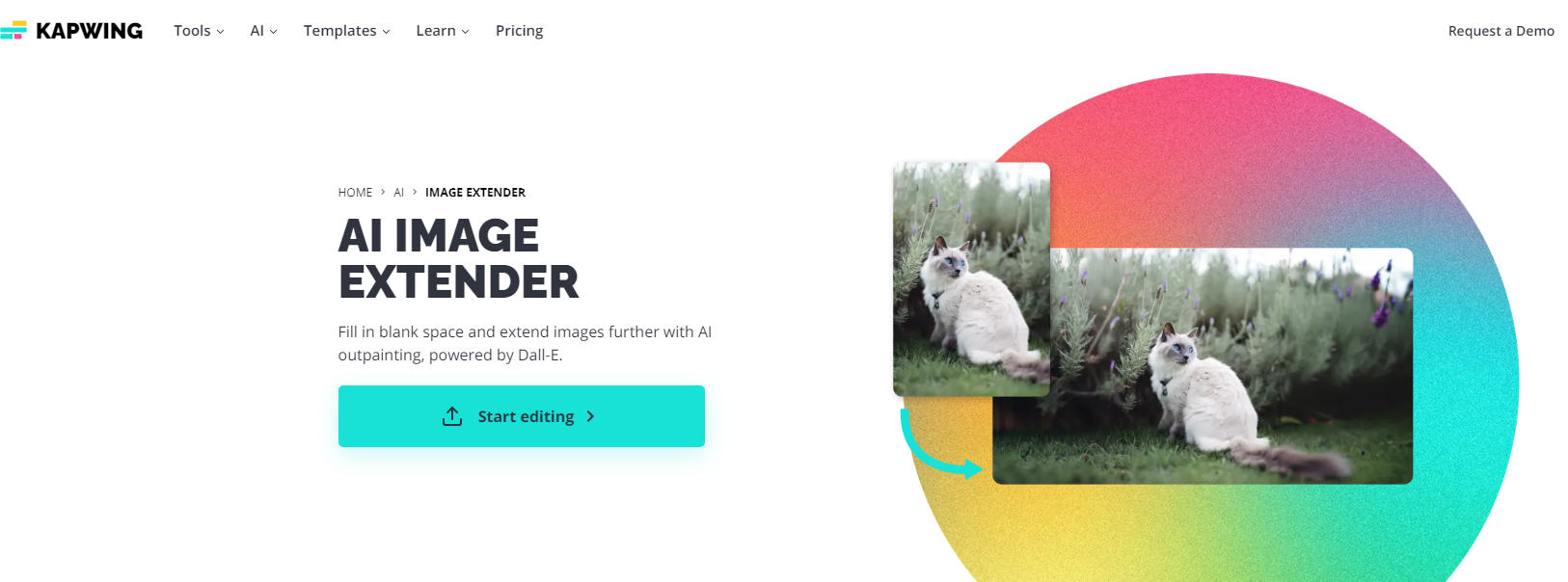 Best AI Image Extenders in 2024 [Reviewed & Tested]