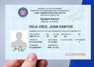 Philippine Non-Pro License: A Complete Guide