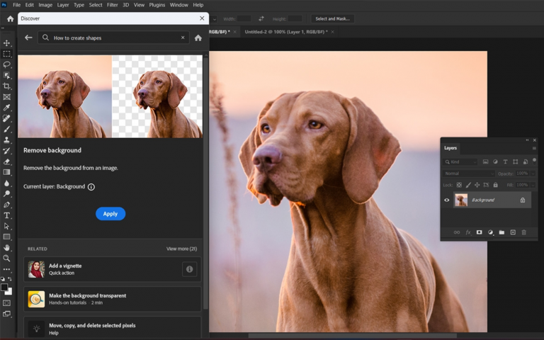Adobe Background Remover & Top 6 Alternatives [2024 Updated]