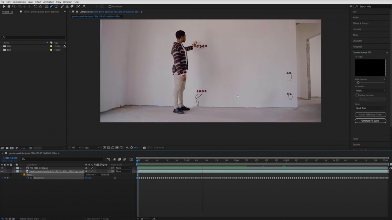How to Remove Objects from Video
