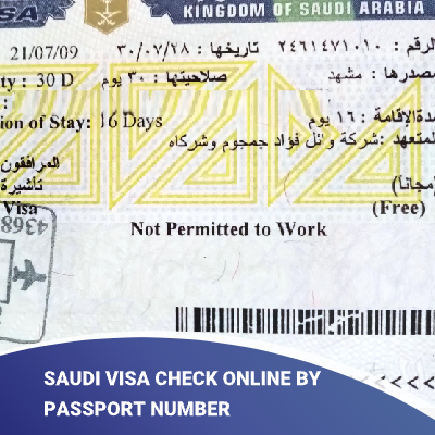 Saudi Visa Check Online by Passport Number [Full Guide]