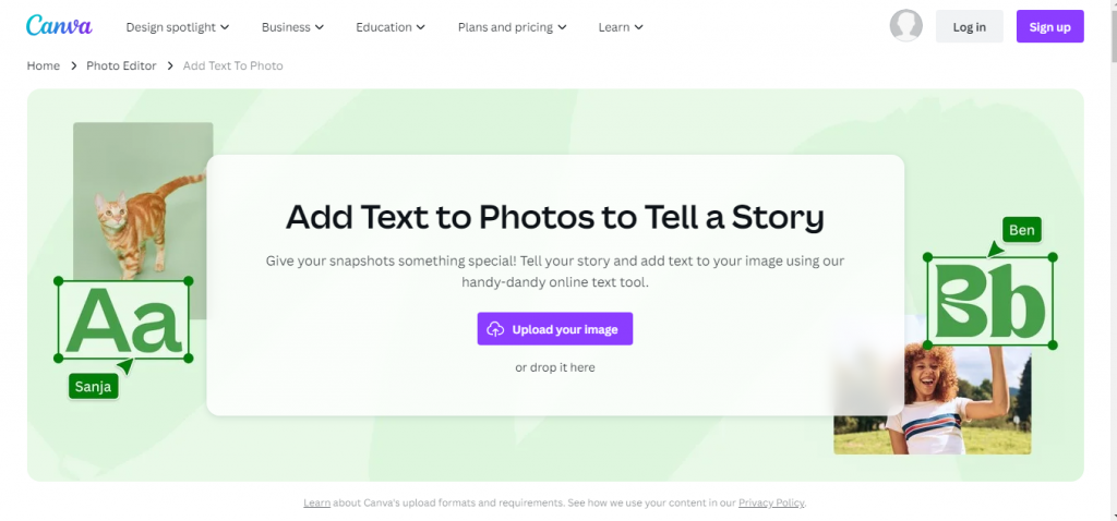 How to Add Name and Date in Photo Online