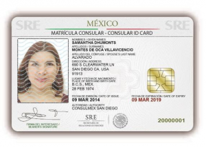 A Full Guide on Mexican Matrícula Consular