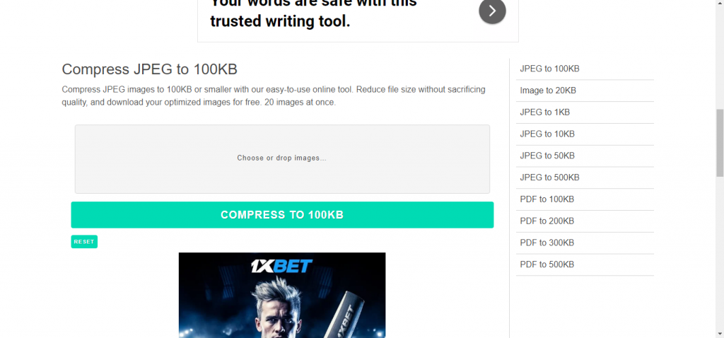 7 Best Tools to Compress Image to 100kb [Tested & Reviewed