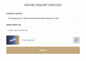 How to Get a Work Permit Number in UAE [Full Guide]