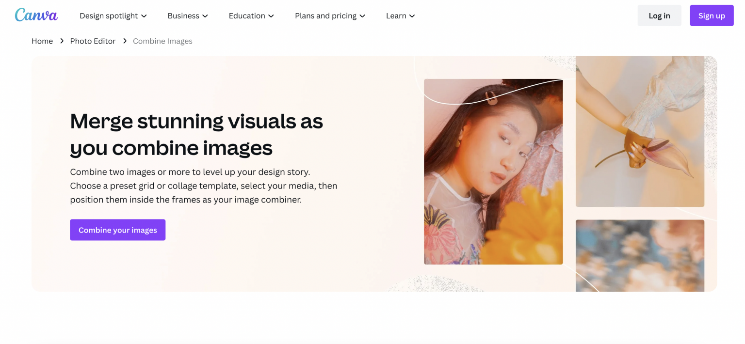 How to Combine Two Images with AI