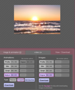 How to Add Sparkle Filter to Photo