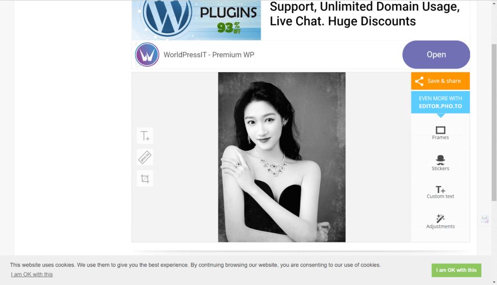 How to Make Your Own The Tortured Poets Department (TTPD) Filter