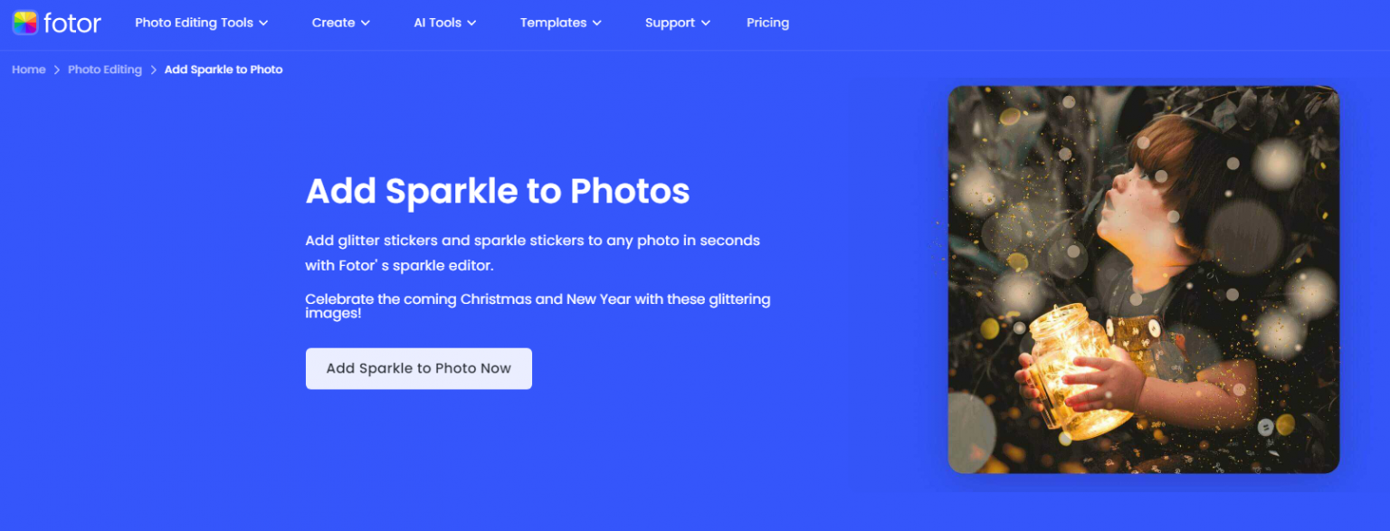 How to Add Sparkle Filter to Photo