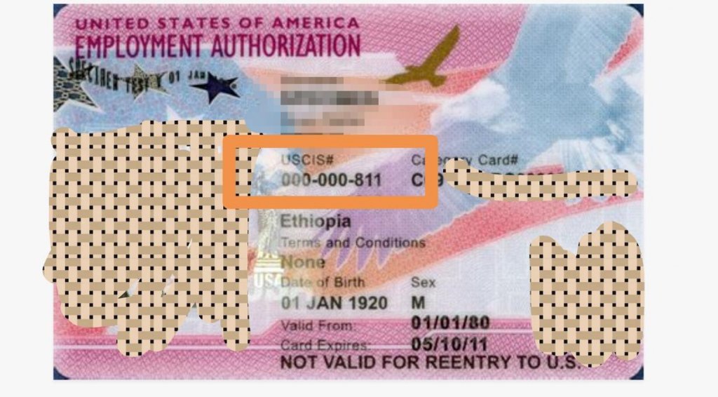 Where to Find Alien Registration Number