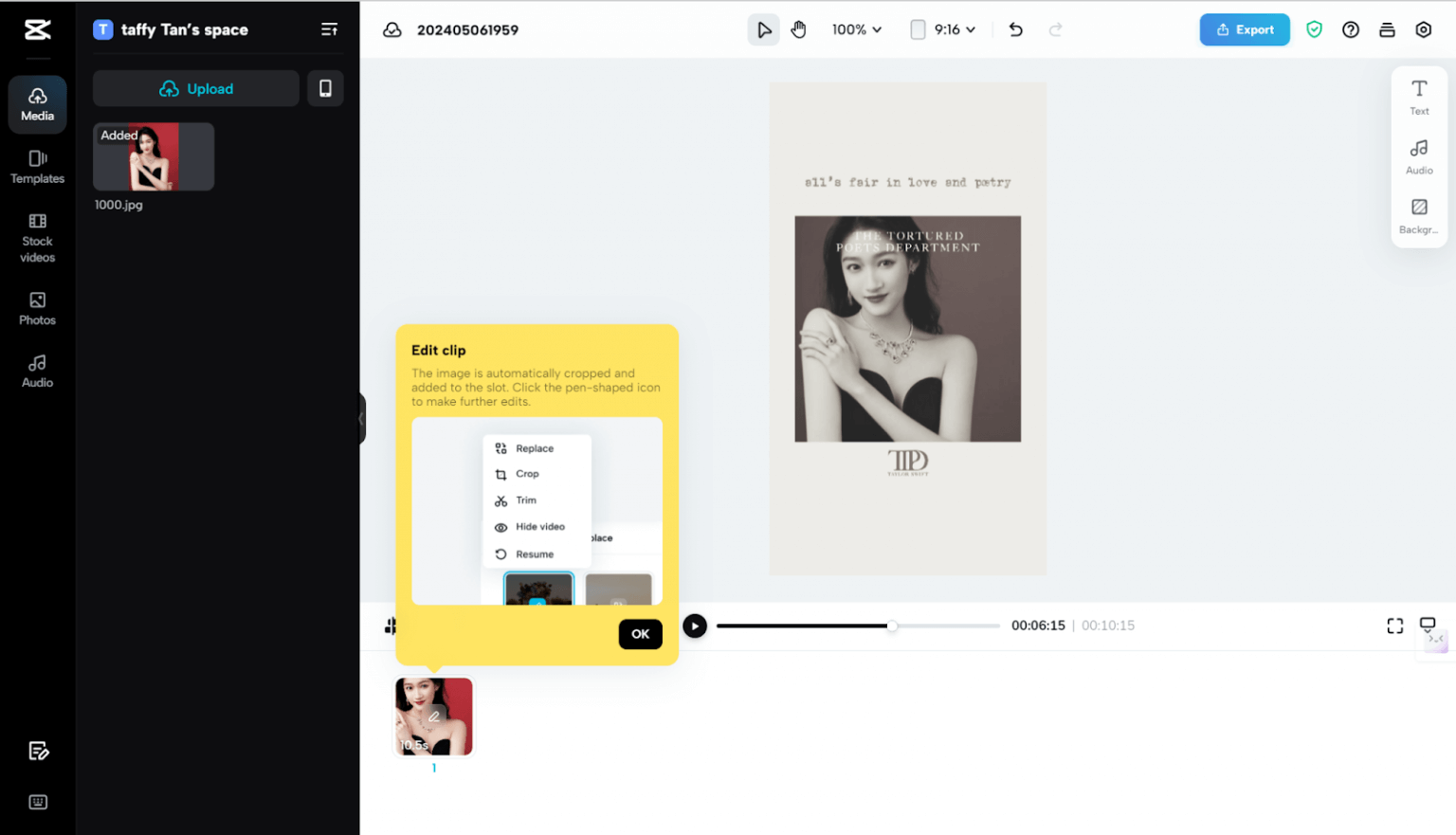 How to Make Your Own The Tortured Poets Department (TTPD) Filter