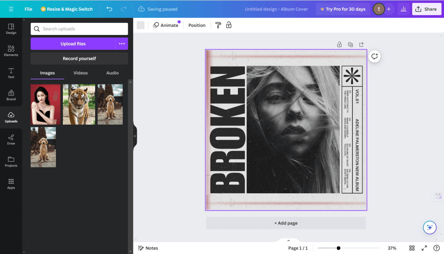 How to Make Your Own The Tortured Poets Department (TTPD) Filter