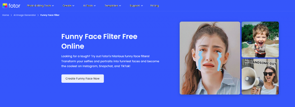 Photo Face Fun Online Editing 2024