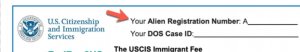 Where to Find Alien Registration Number