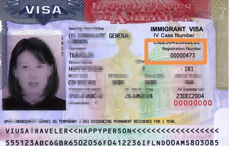 Where to Find Alien Registration Number