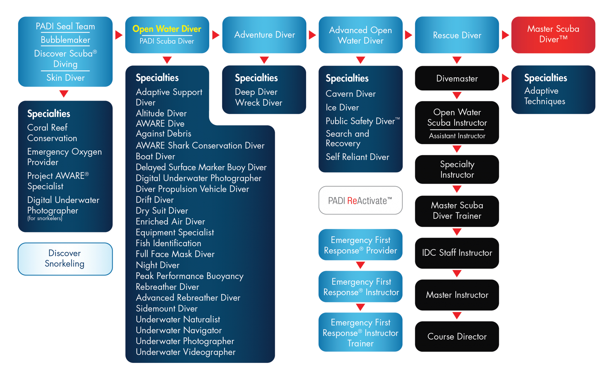 PADI Certification: What Is It & How to Get One