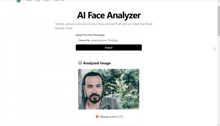 Top 5 AI Face Raters for Attractiveness Test
