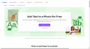 How to Put Text Behind Image: 7 Ways