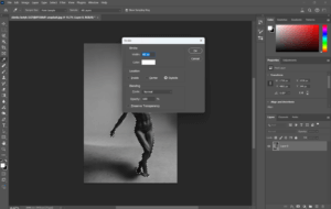 How to Outline an Image [4 Methods]
