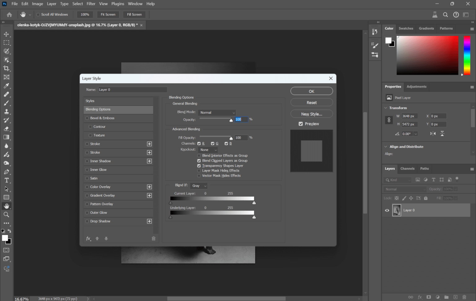 How to Outline an Image [4 Methods]