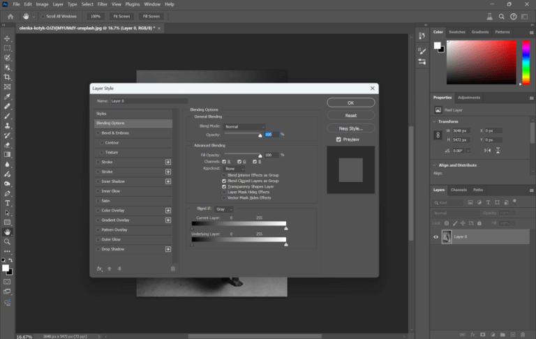 How to Outline an Image [4 Methods]