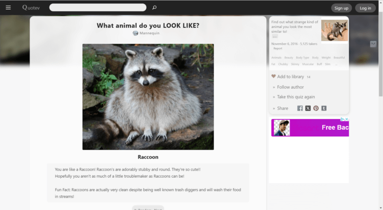 What Animal Do I Look Like [Quiz, Tests & Filters]