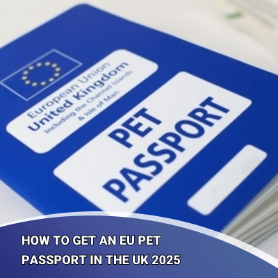 How to Get an EU Pet Passport in the UK 2025