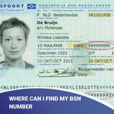 Where Can I Find My BSN Number: Easy Guide