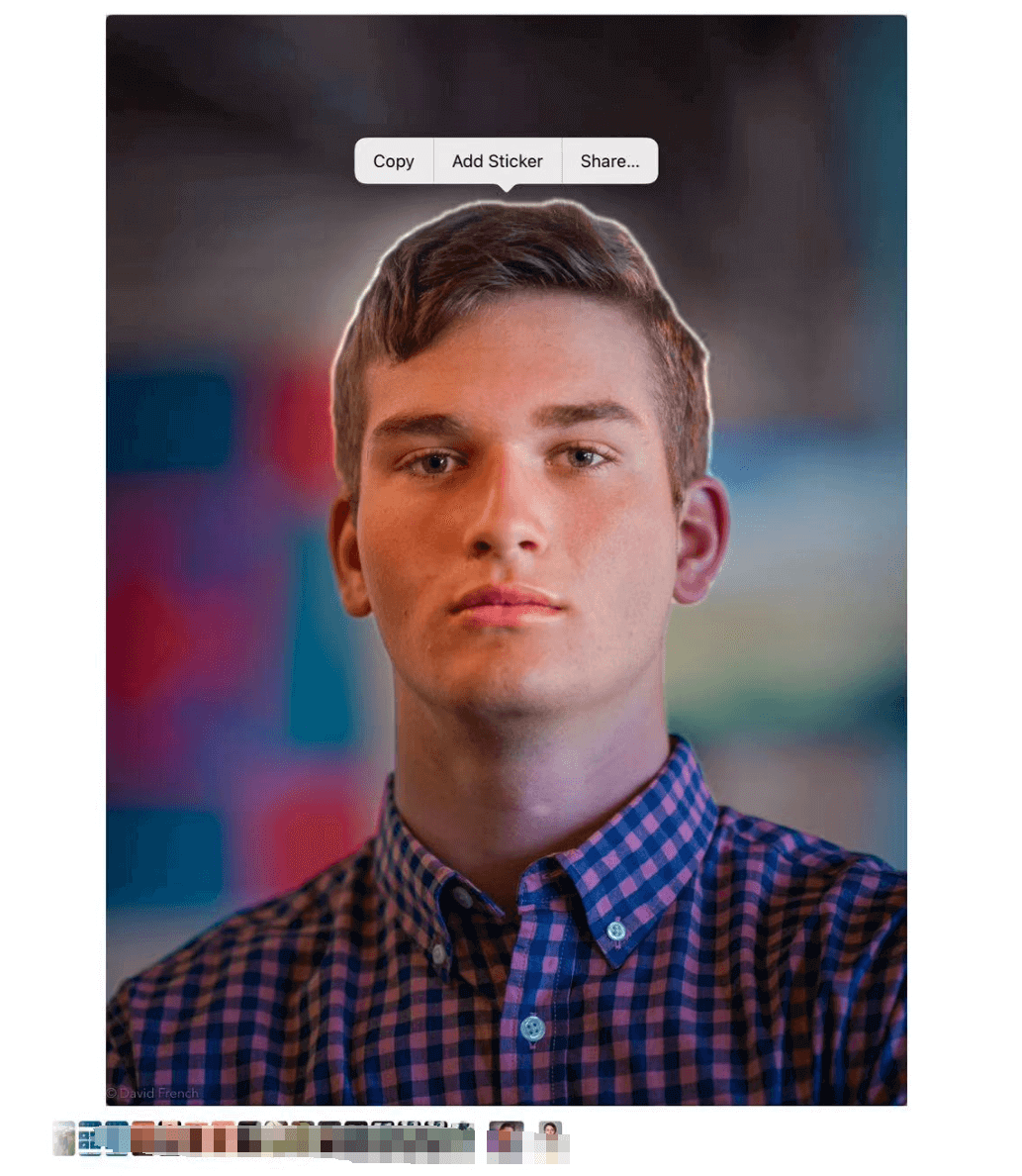 How to Turn a Picture into a Sticker