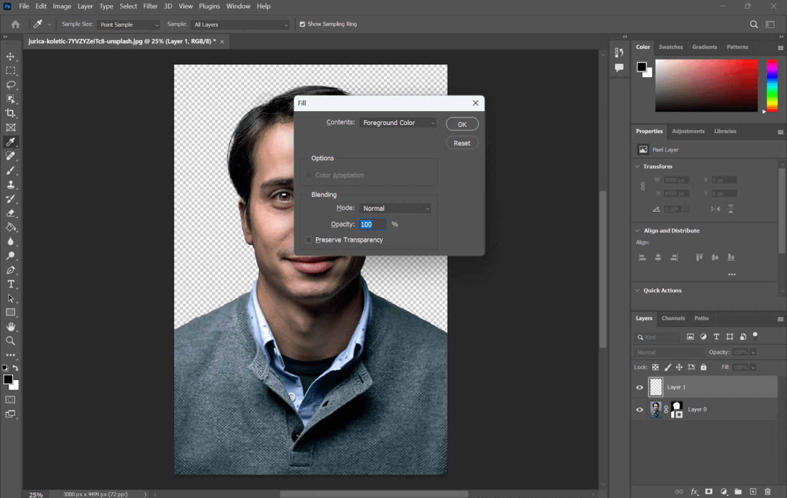 How to Add a Black Background to a Photo & Video [A Beginner's Guide]