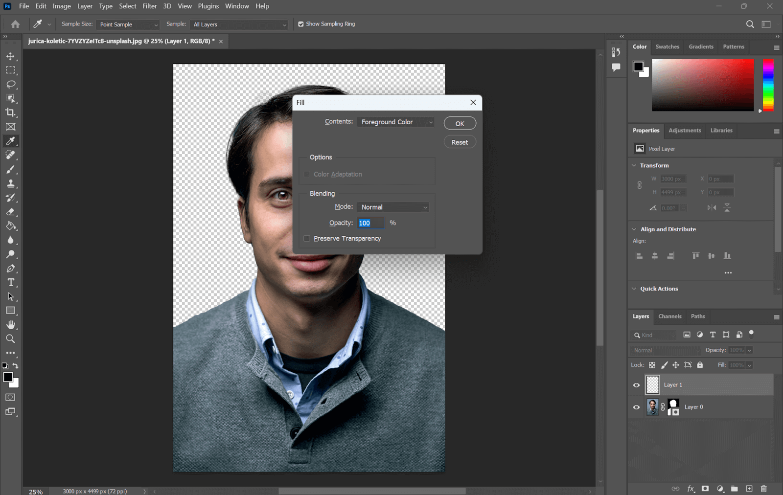 How to Add a Black Background to a Photo & Video [A Beginner's Guide]