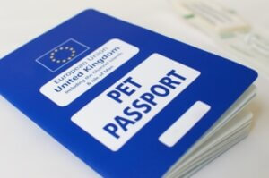 How to Get an EU Pet Passport in the UK 2025