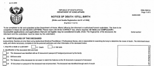 How to Check Death Certificate Online in South Africa