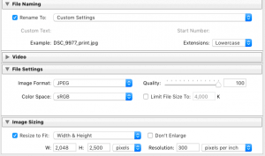How to Make a Stamp Size Photo: Step-by-step Guide