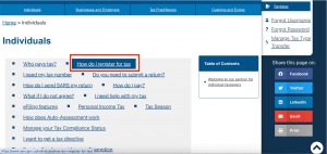 Employee's Guide to IRP5 Certificate 2024