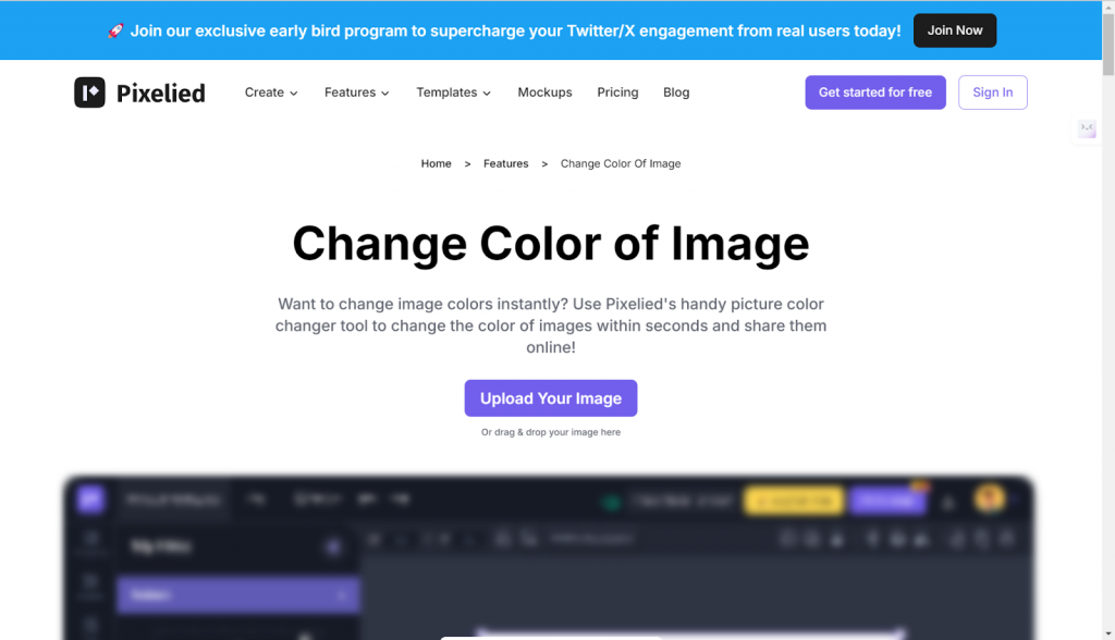Top 6 Photo Color Editor for Hair, Outfit & Logo 2024
