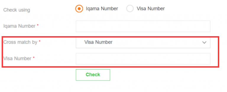 How to Check Exit Re-entry Visa Status & Validity 2024